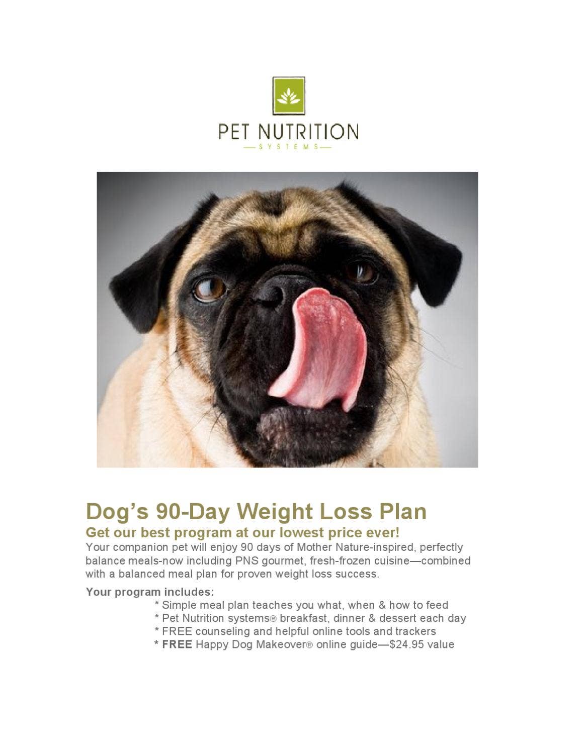 PNS Dog Weight Loss Plan by Pet Nutrition Systems - Issuu