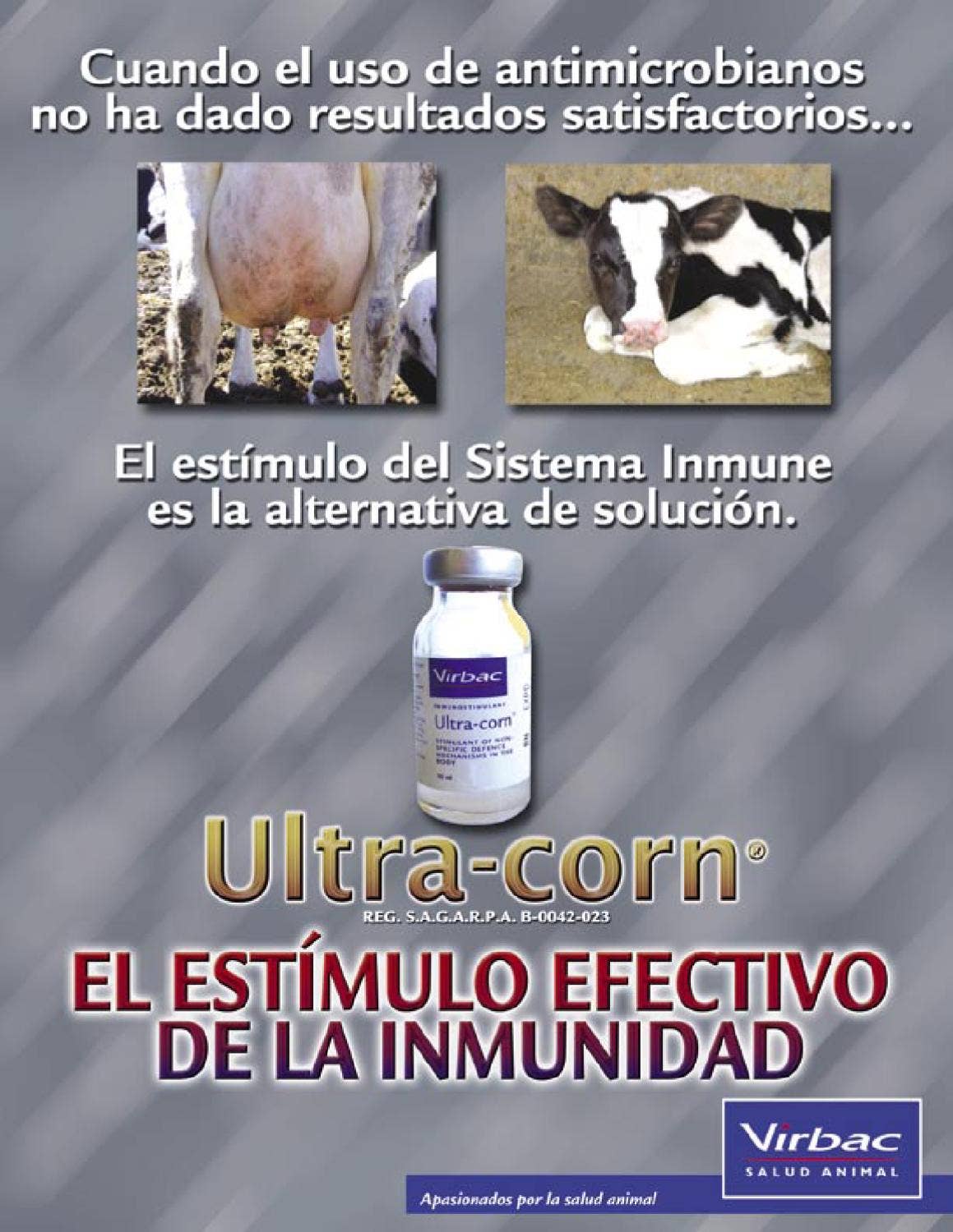 ultra-corn by Laboratorios Virbac México - Issuu