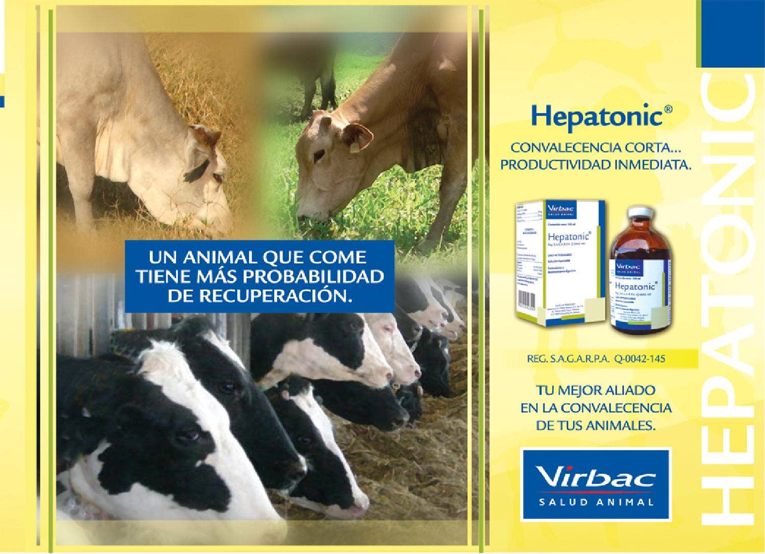 Hepatonic by Laboratorios Virbac México - Issuu