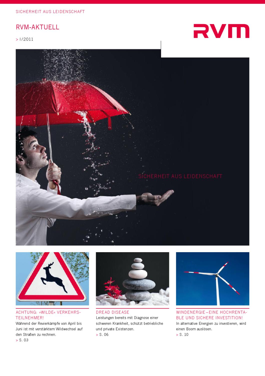 RVM-AKTUELL 1/2011 by Gittinger GmbH - Issuu