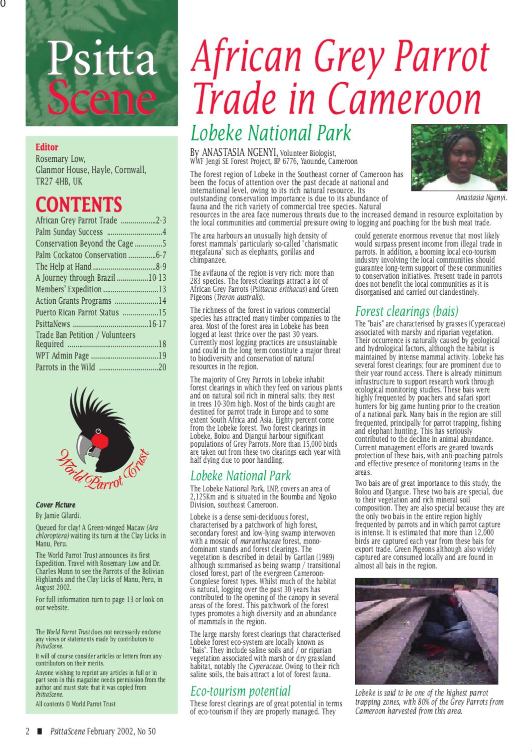 African Grey Parrot Trade in Cameroon by World Parrot Trust - Issuu