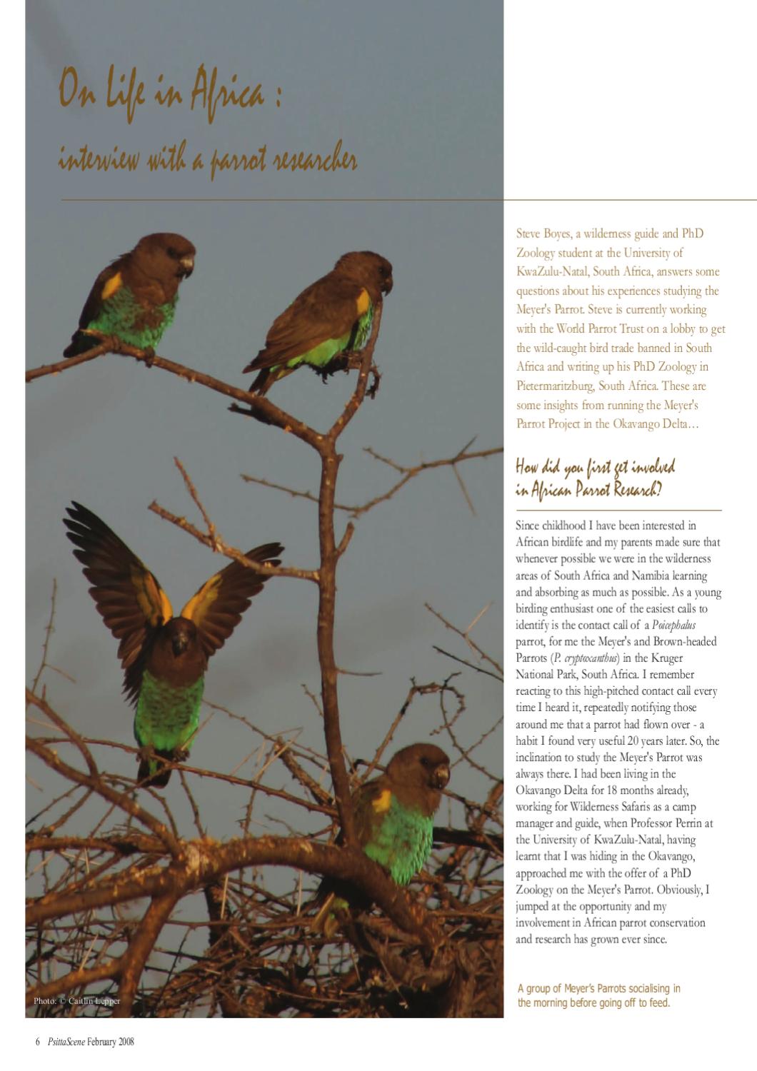 On Life in Africa - PsittaScene Issue 20.2 May 2008 by World Parrot ...
