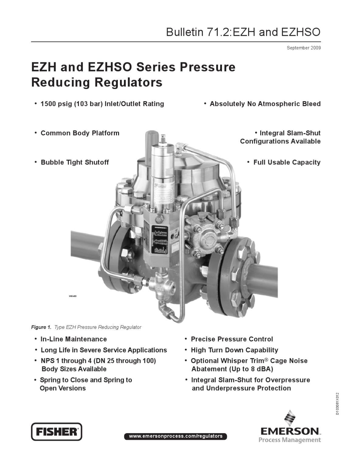 EZH & EZHSO Regulator Bulletin by RMC Process Controls & Filtration ...