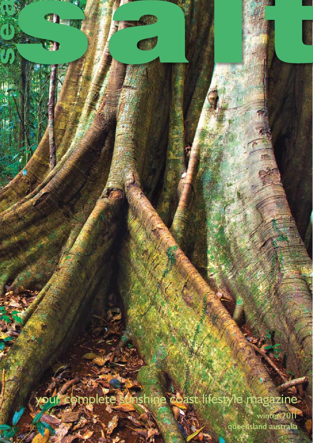 salt magazine by salt magazine - Issuu