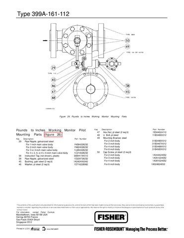 399A-161 Pilot Instruction Manual by RMC Process Controls & Filtration ...