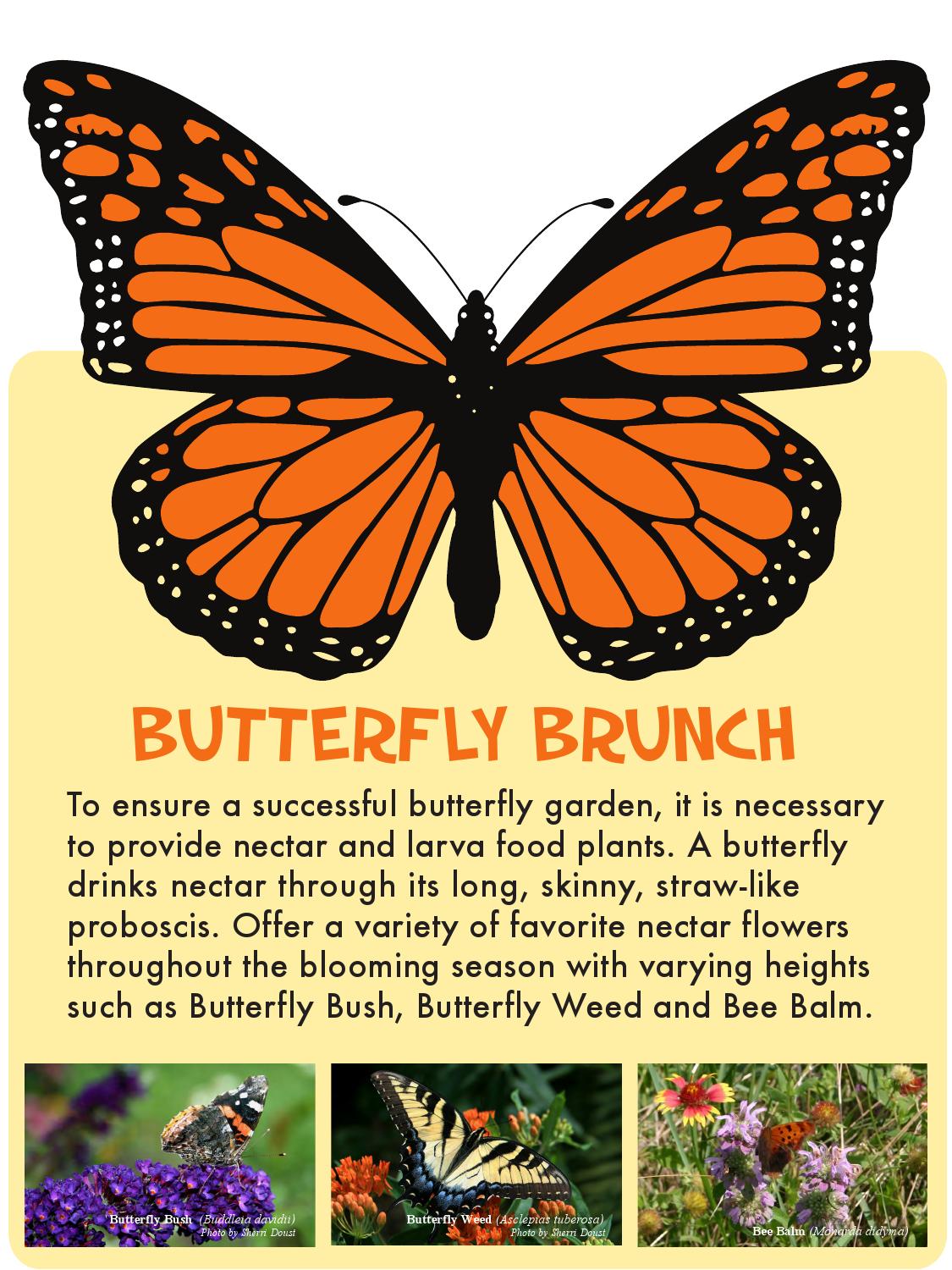 Butterfly Garden Signage by Amy Karlovec - Issuu