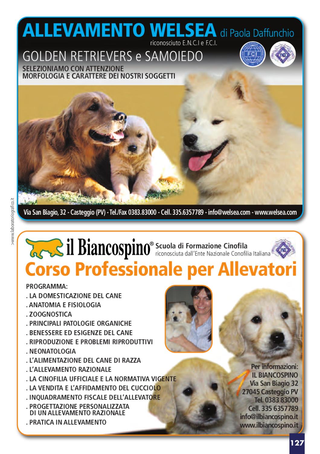 ENCI - Annuario 2011 by ENCI - Ente Nazionale Cinofilia Italiana - Issuu