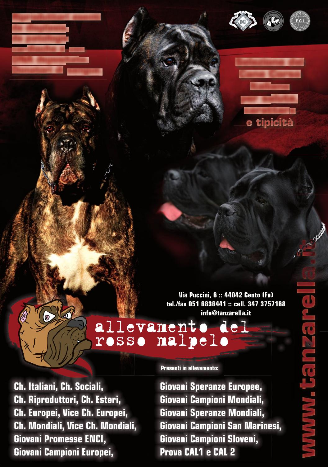 ENCI - Annuario 2011 by ENCI - Ente Nazionale Cinofilia Italiana - Issuu