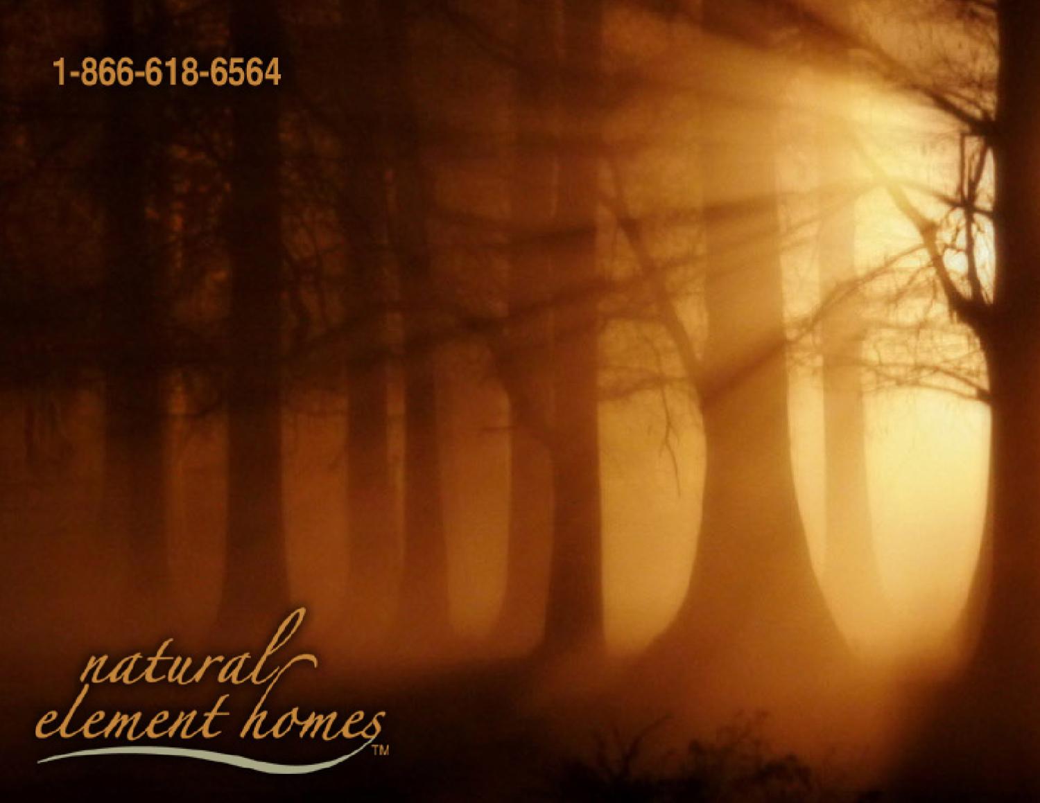 Natural Element® Home Plans: Cabin Creek Collection by Natural Element Homes, LLC - Issuu