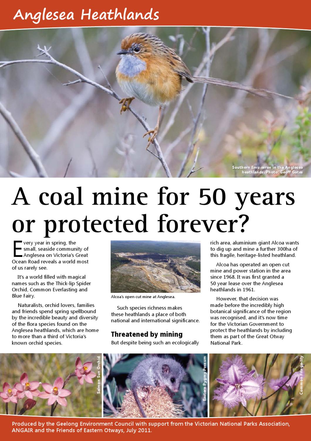 Anglesea heathlands - A coal mine for 50 years or protected forever? by ...