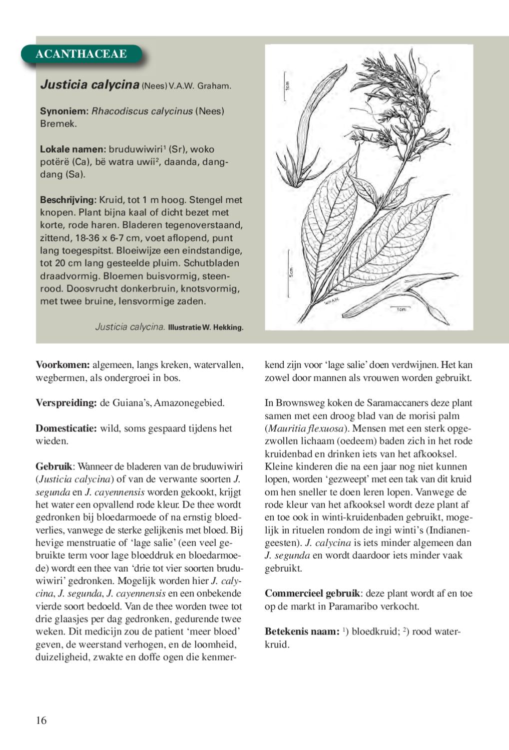 Medicinale en rituele planten van Suriname by LM Publishers - Issuu