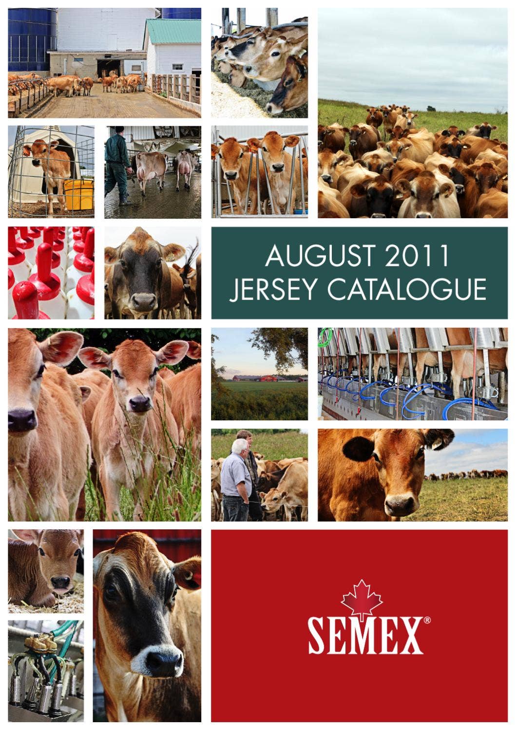 Semex Alliance August 2011 Jersey Catalogue by Semex - Issuu