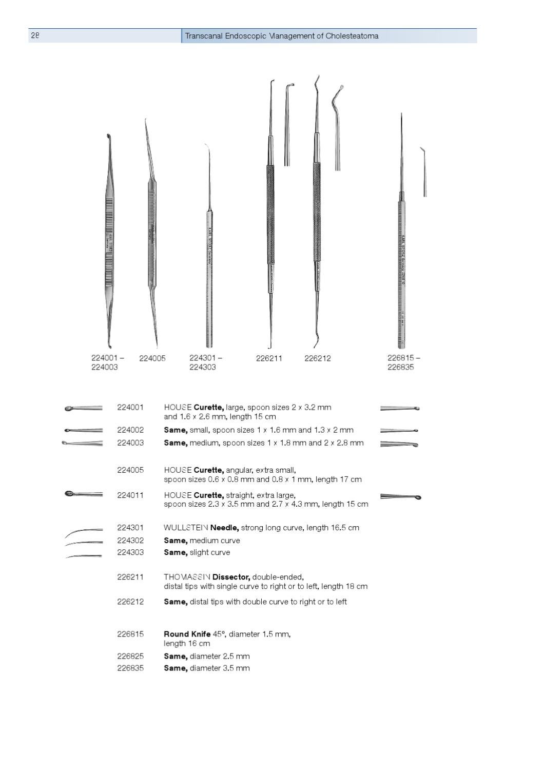 Silver Book Endoscopic Cholesteatoma Management by Joao Nogueira - Issuu