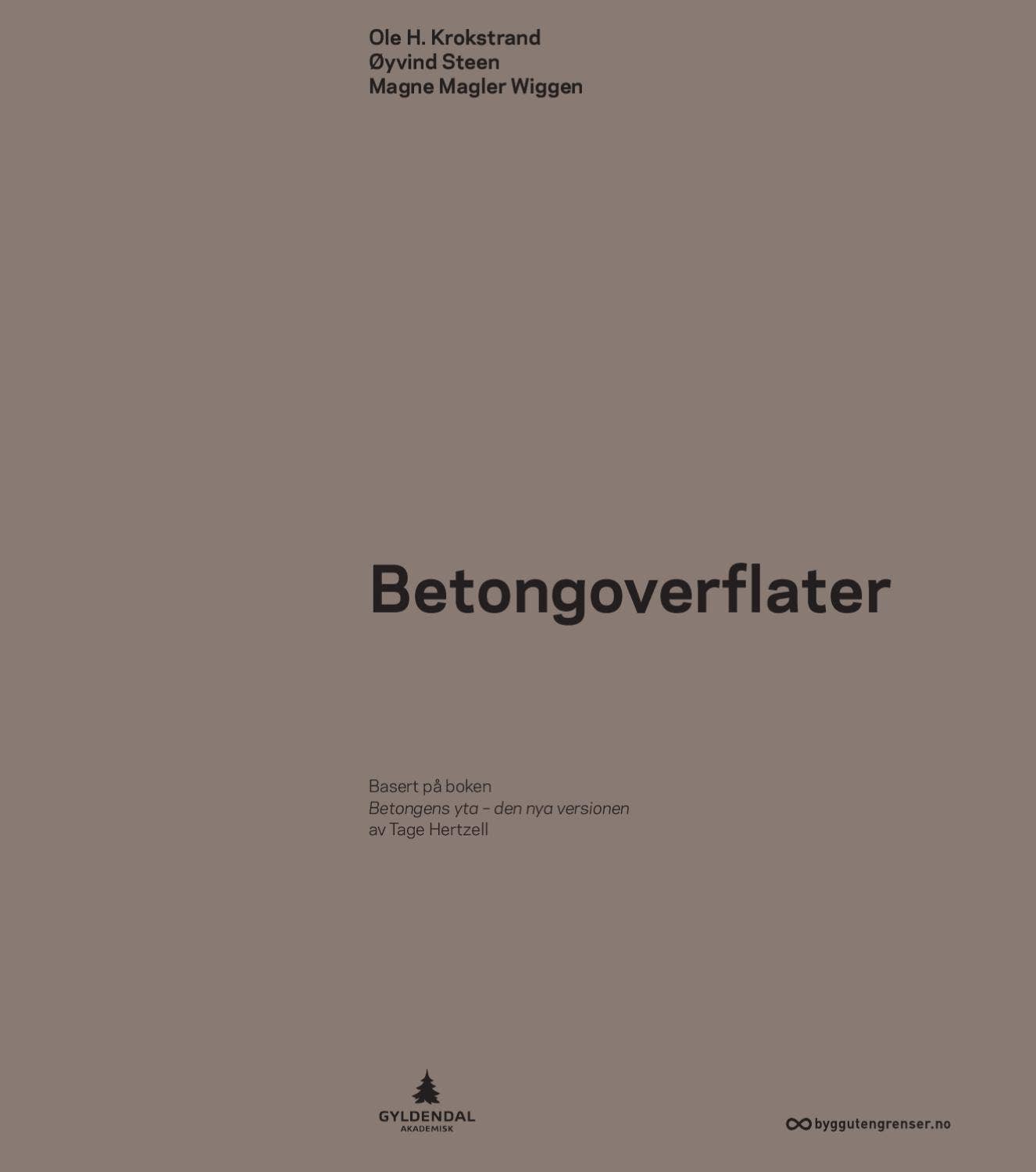 Betongoverflater by Gyldendal Norsk Forlag - Issuu