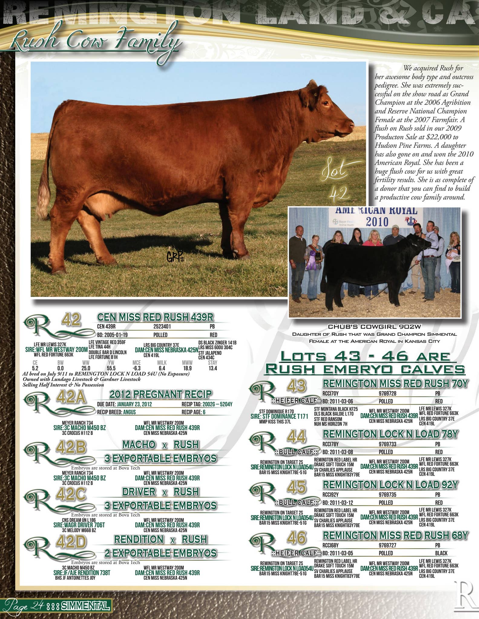 Remington Land & Cattle - Simmental by Cattle In Motion, LLC - Issuu