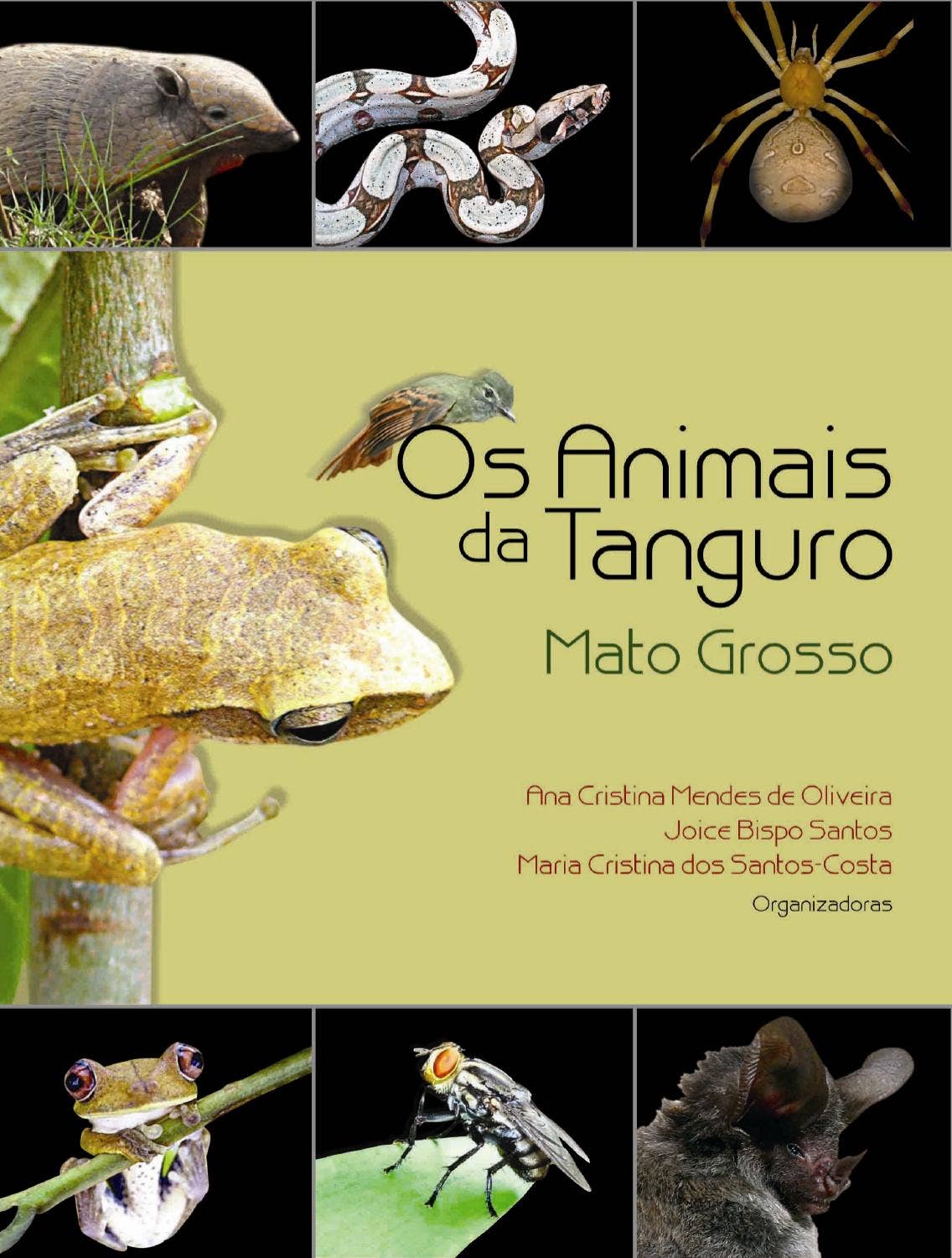 Os Animais de Tanguro by Museu Paraense Emílio Goeldi - Issuu
