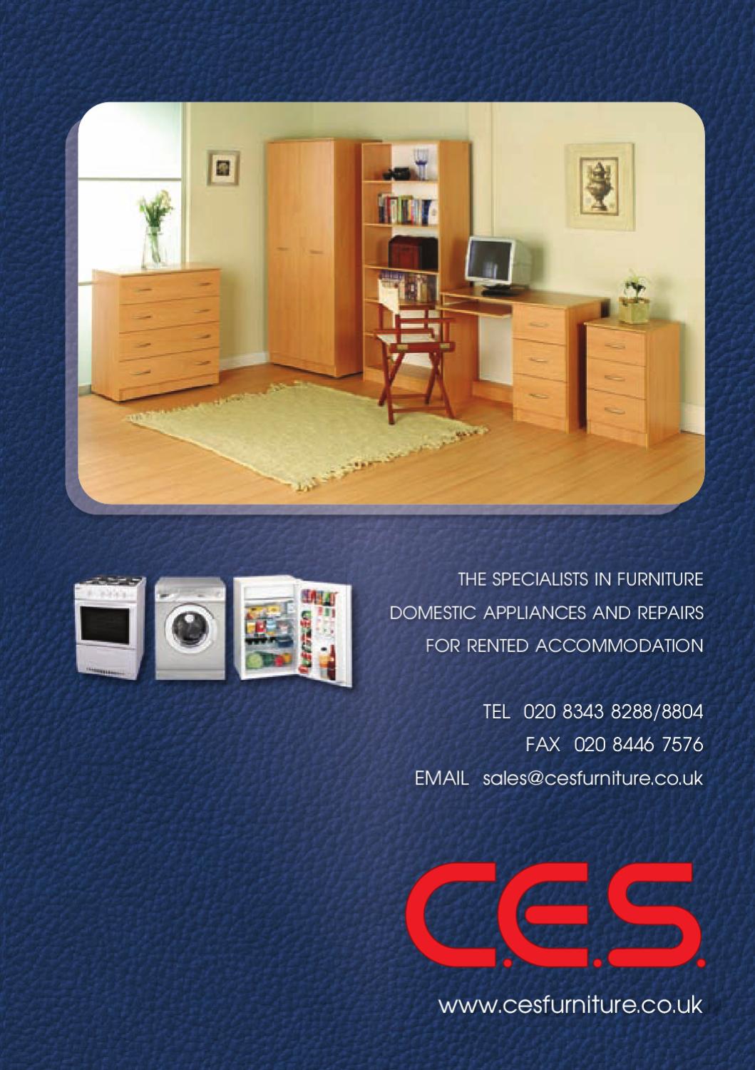 CES Brochure by Damon Segal - Issuu