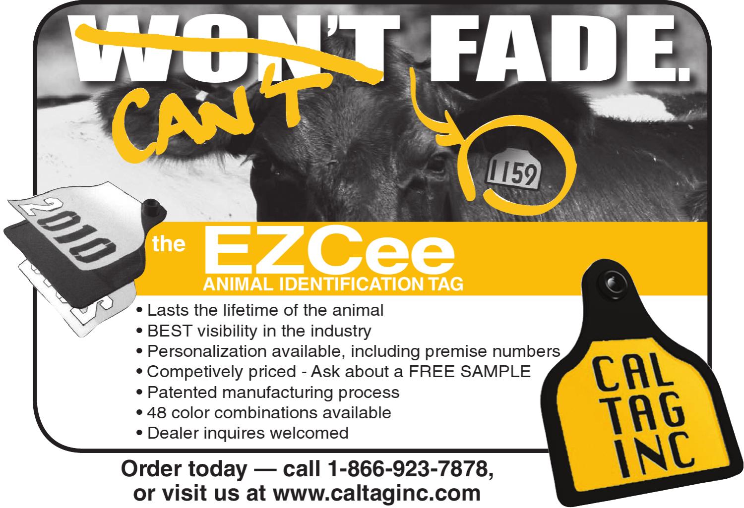 Cal Tag by Kaci Foultner - Issuu