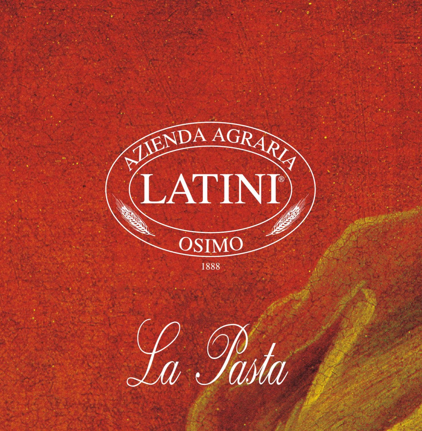 Latini La Pasta by Franco Tom - Issuu