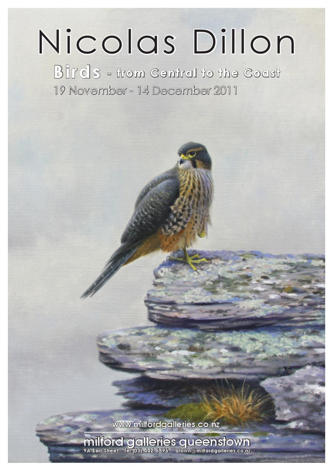 NICOLAS DILLON by Milford Galleries - Issuu