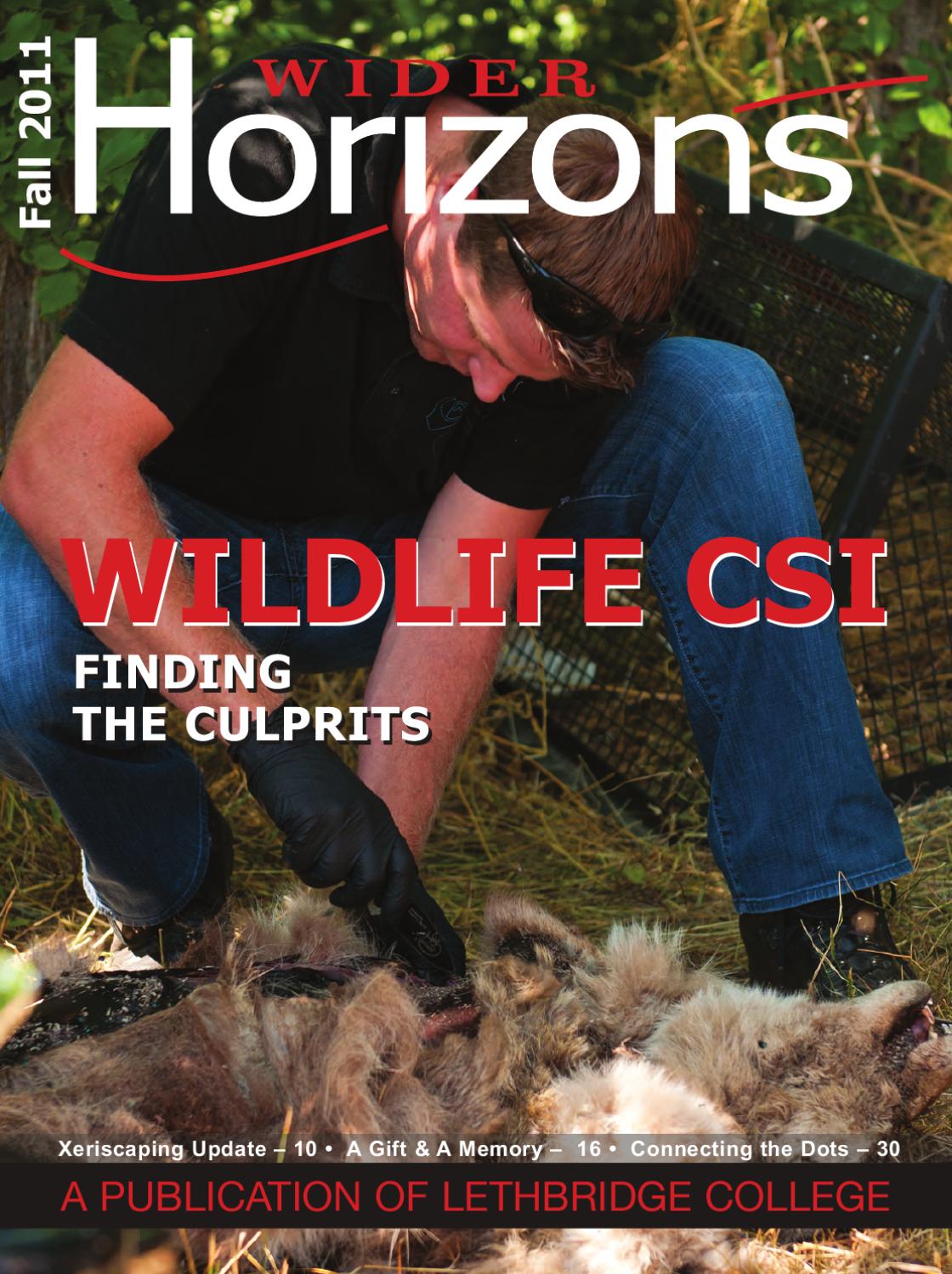 Wider Horizons - Fall 2011 by Lethbridge College - Issuu