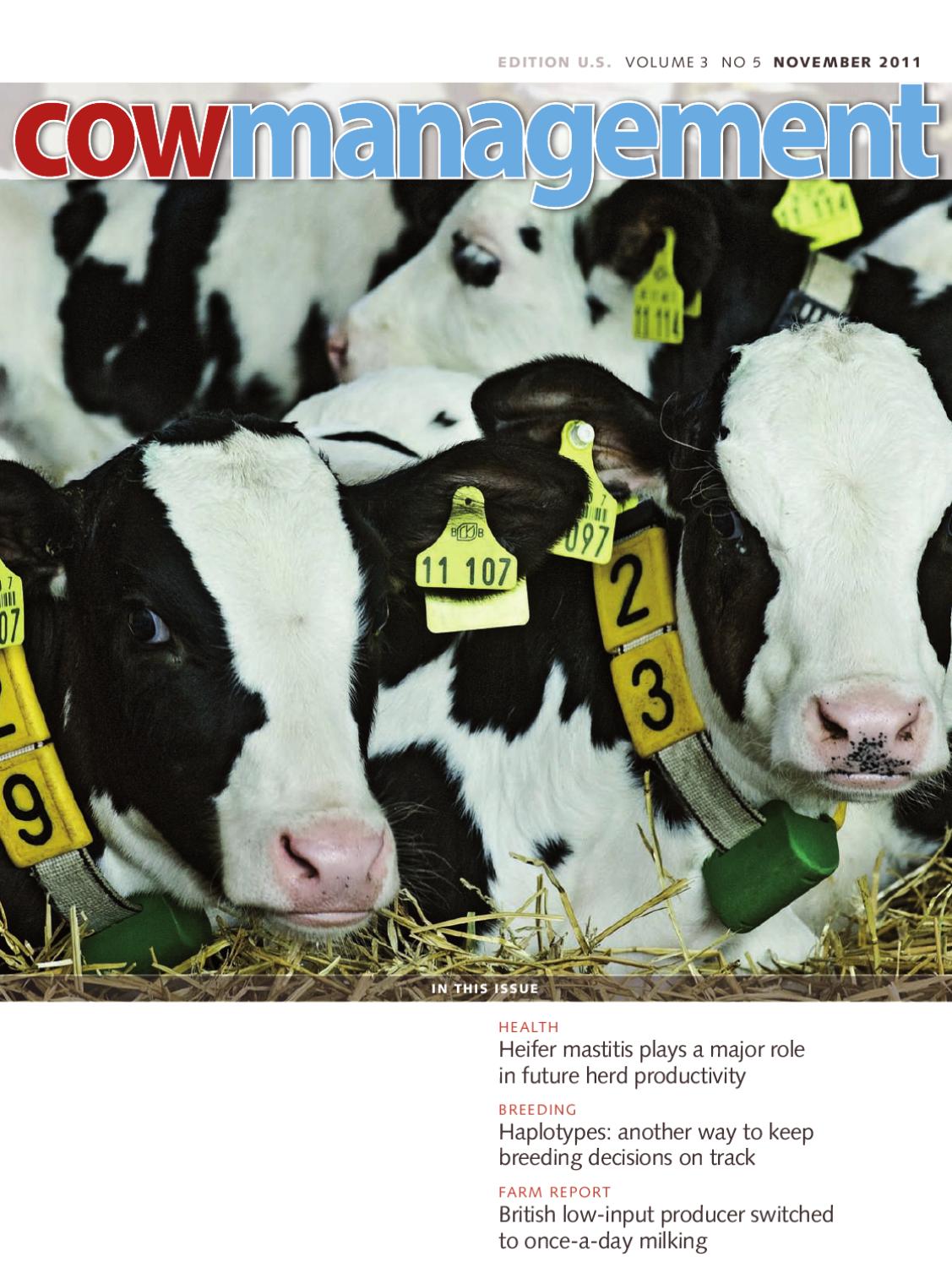 CowManagement November 2011 by CRV Uitgeverij/CRV Publishers - Issuu