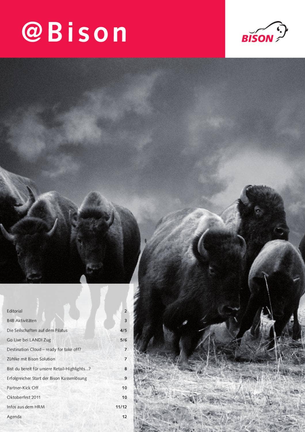 @Bison_November_2011 by Bison Schweiz AG - Issuu