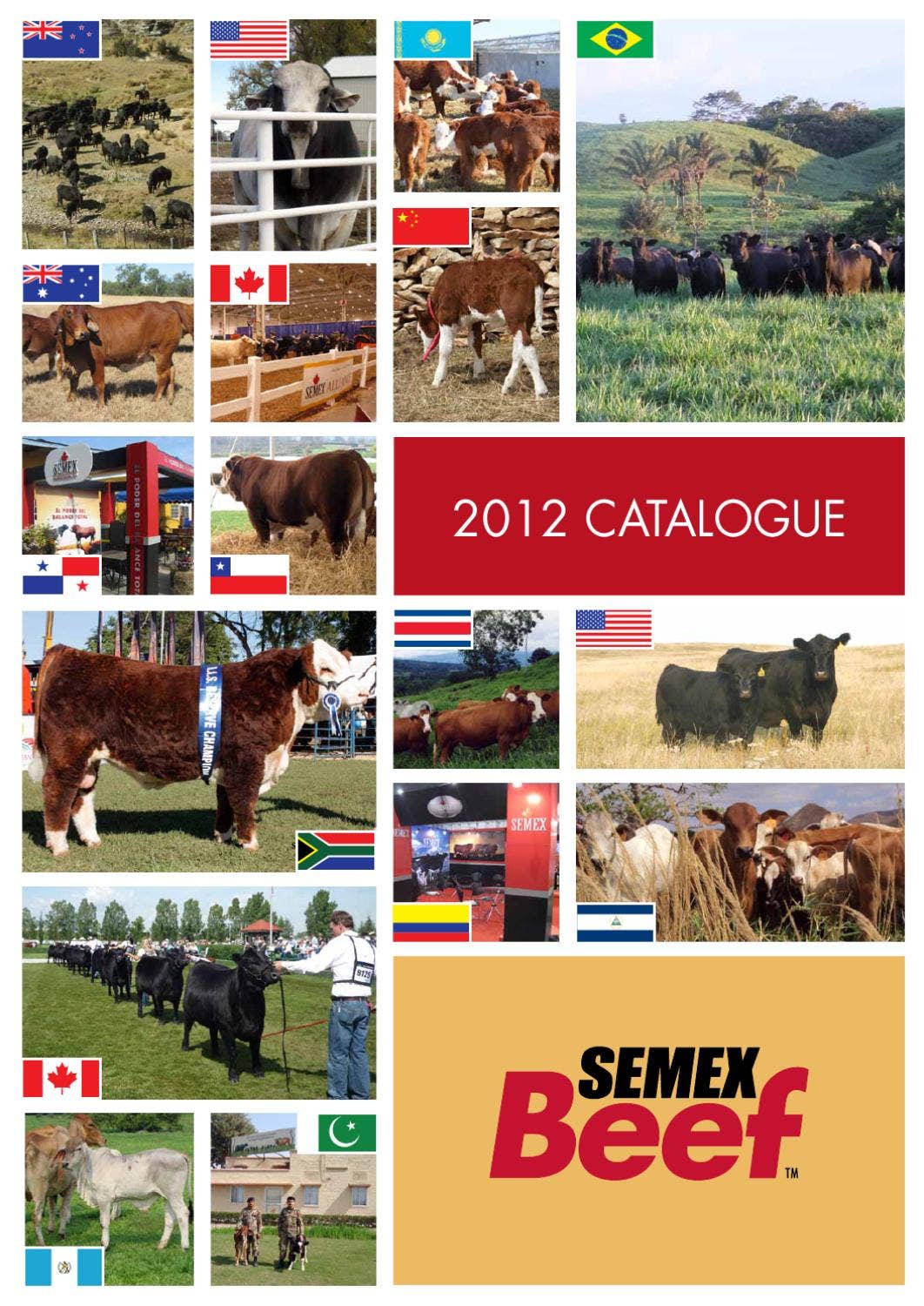 2012 Beef Catalogue by Semex - Issuu