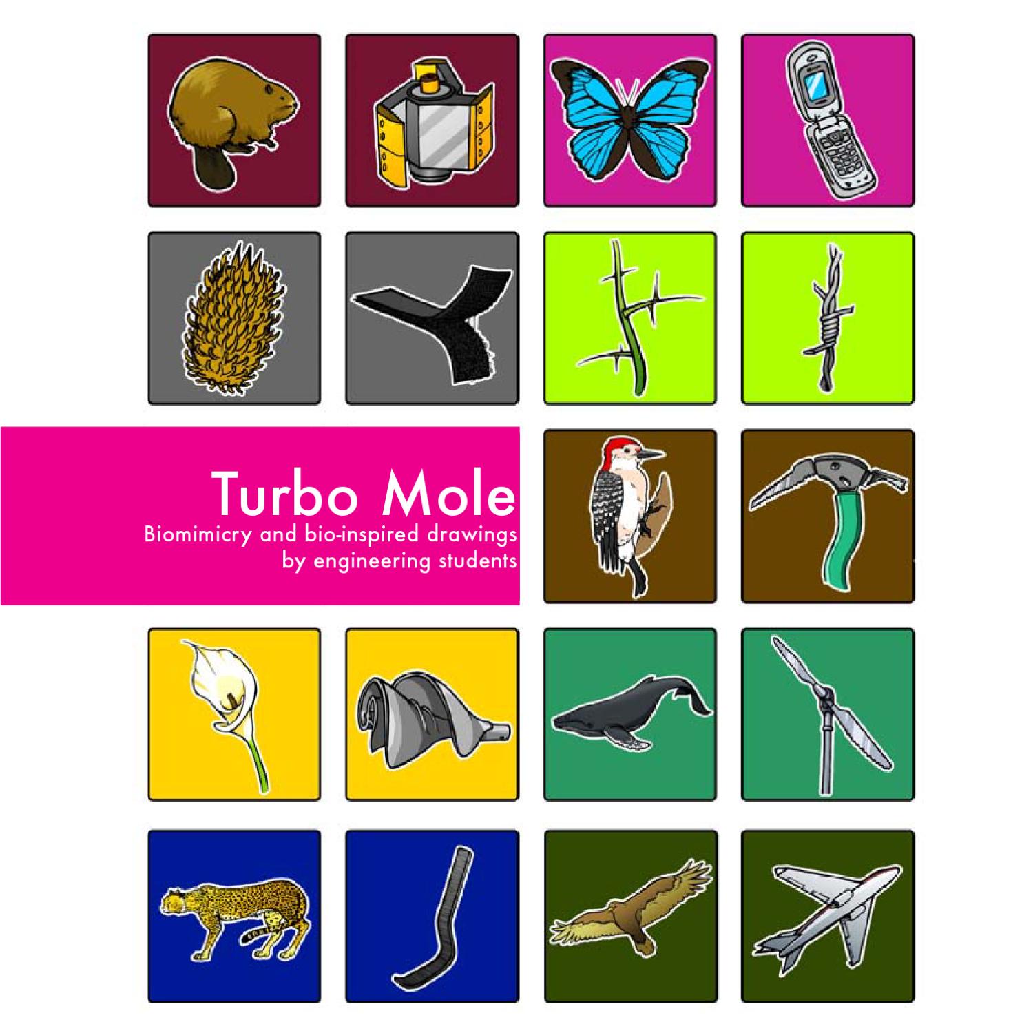 Biomimicry drawings 2004-2010 by marjan eggermont - Issuu