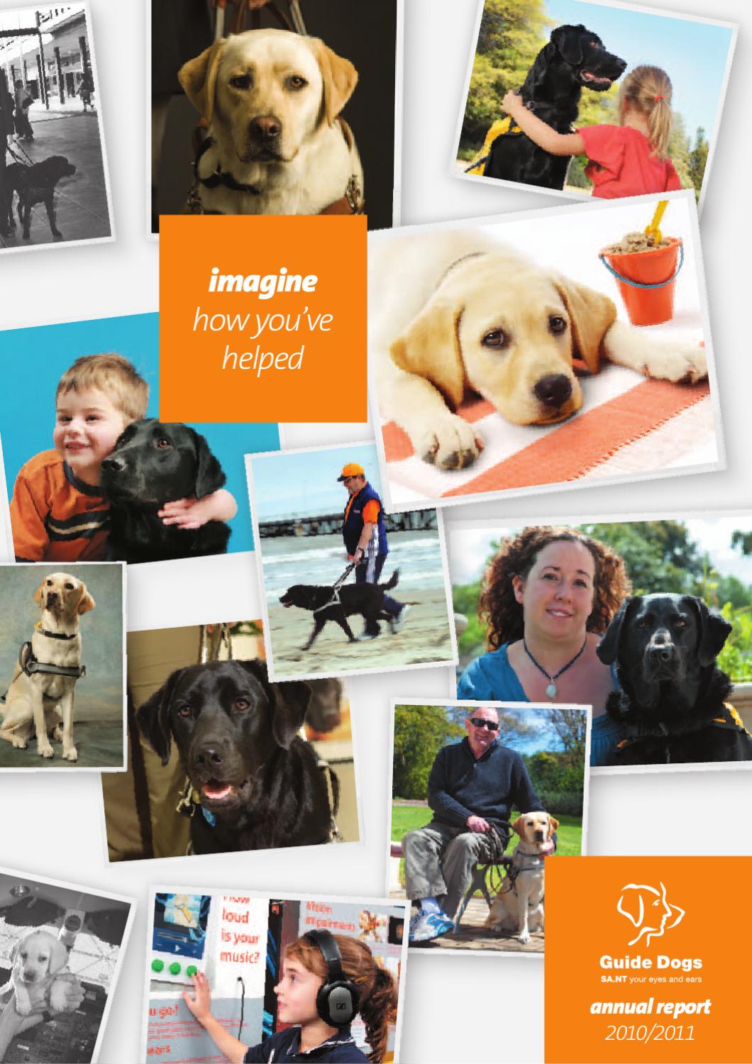 Guide Dogs SA Annual Report 2010-11 by Jason - Issuu