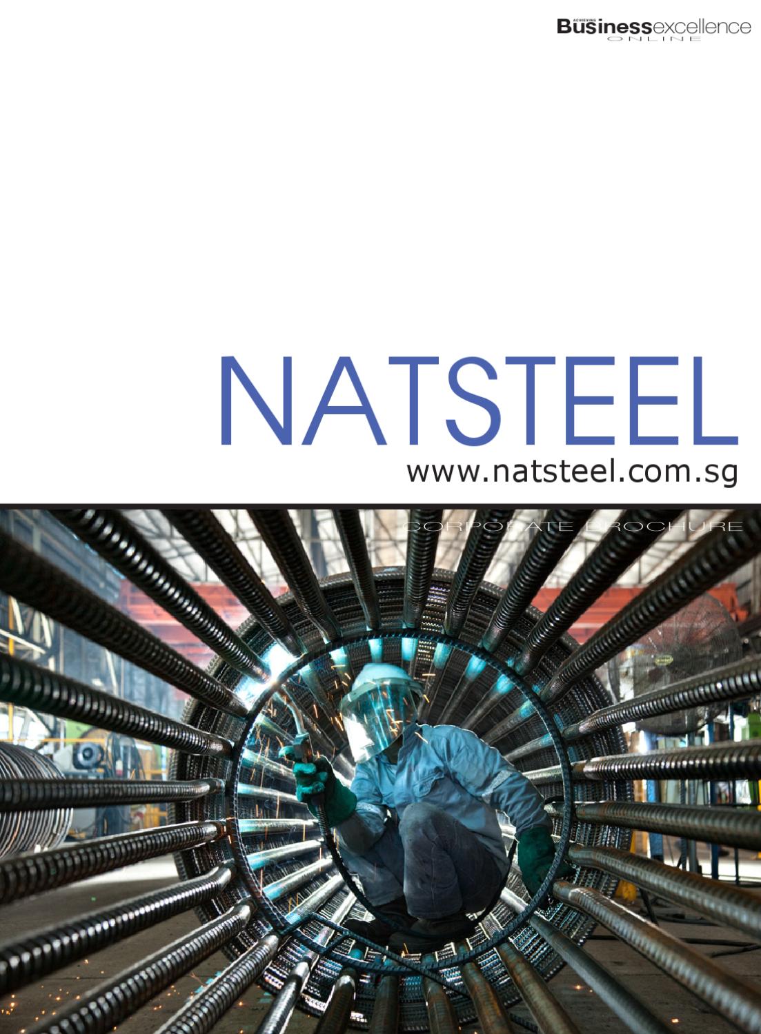 EMEA-Dec11-NatSteel-Bro by Business Excellence Magazine - Issuu