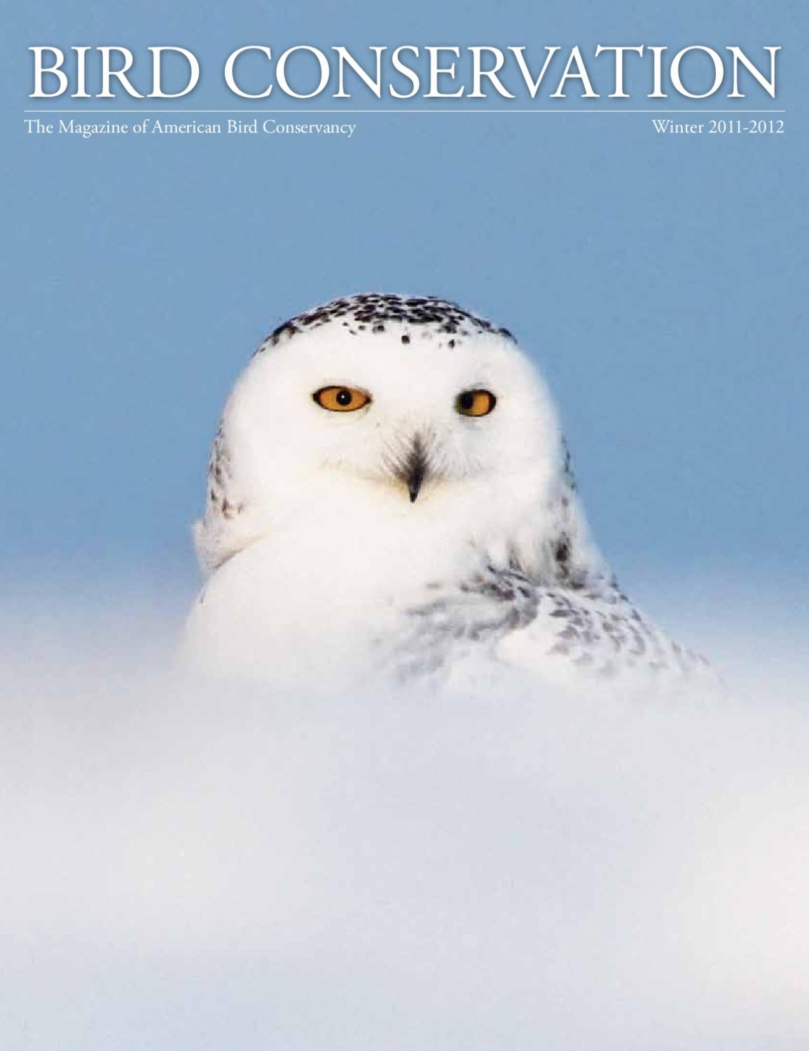 Bird Conservation Magazine, Winter 2011-2012 by Global Nomad - Issuu