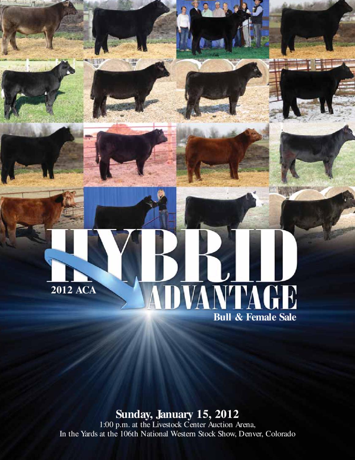 2012 ACA Hybrid Advantage Sale by Cattle In Motion, LLC - Issuu