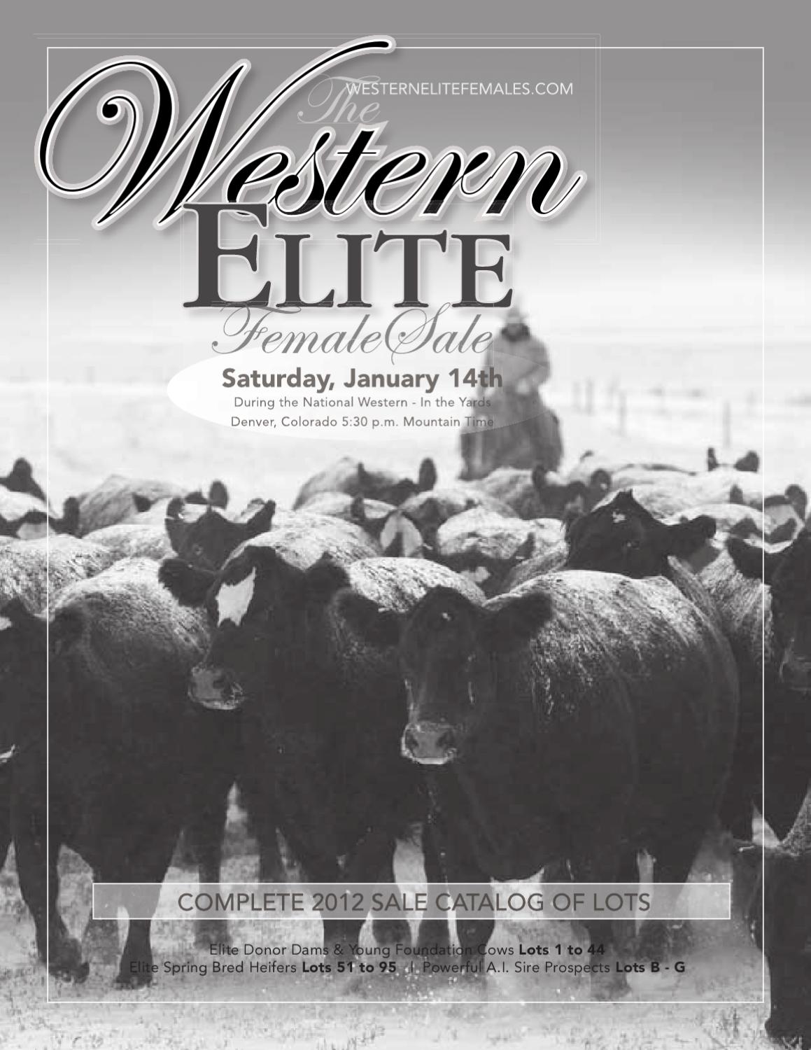 Western Elite Female Sale by Cattle In Motion, LLC - Issuu