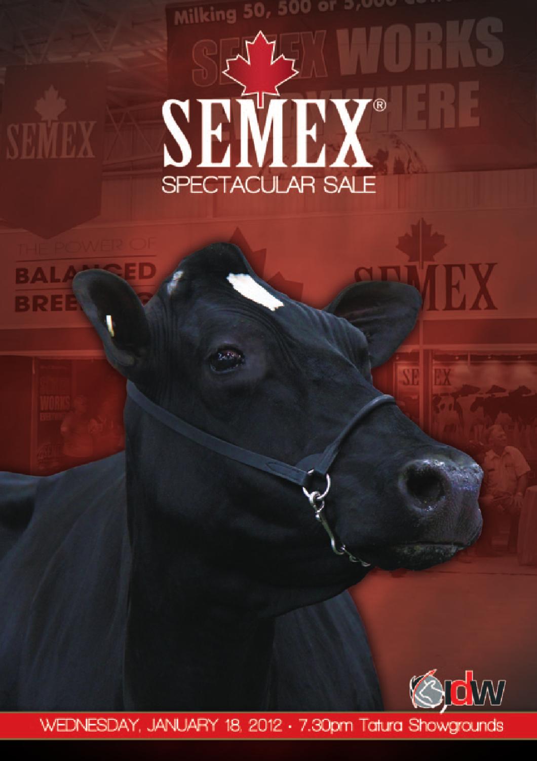 Australia - Semex Spectacular Sale Catalogue 2012 by Semex - Issuu