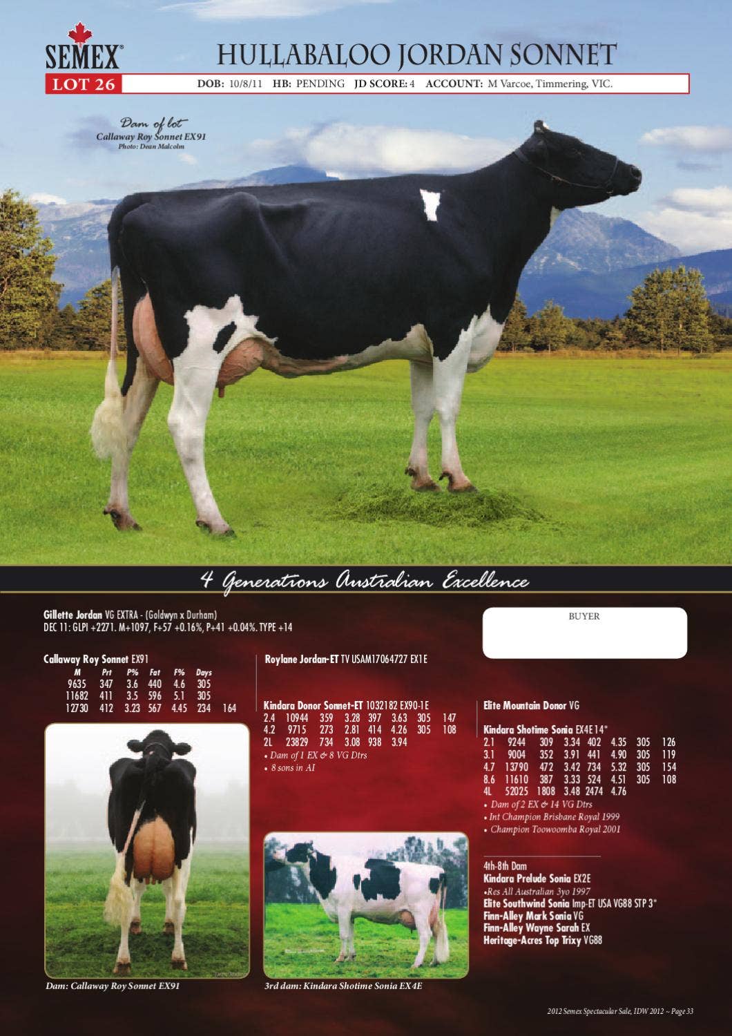 Australia - Semex Spectacular Sale Catalogue 2012 by Semex - Issuu