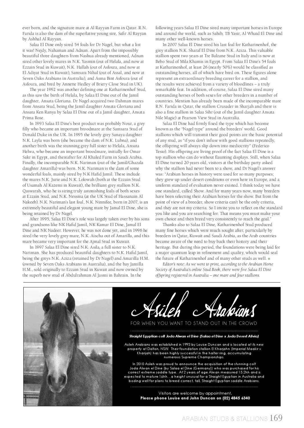 Arabian Studs & Stallions - Volume 38 by Vink Publishing - Issuu