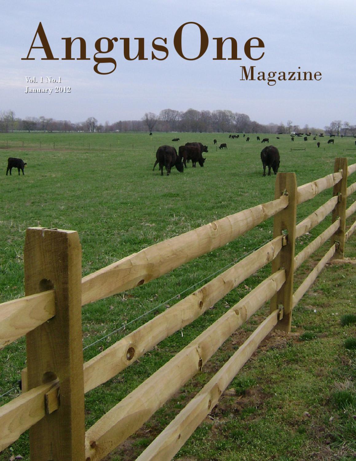 AngusOne Magazine January 2012 by AngusOne Magazine - Issuu
