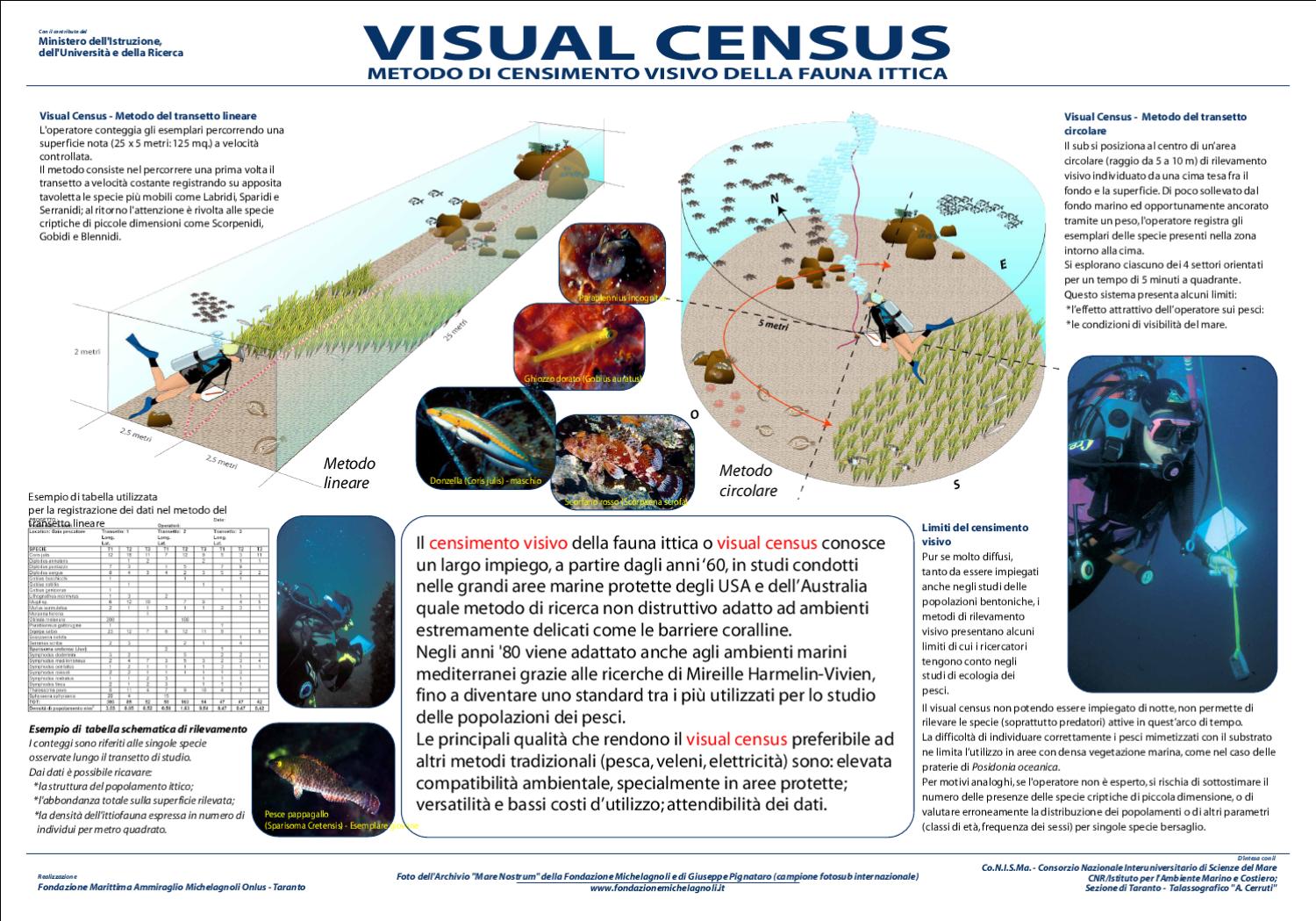 Visual census in mare by Bio Consulting - Pasquale Bondanese Biologist ...