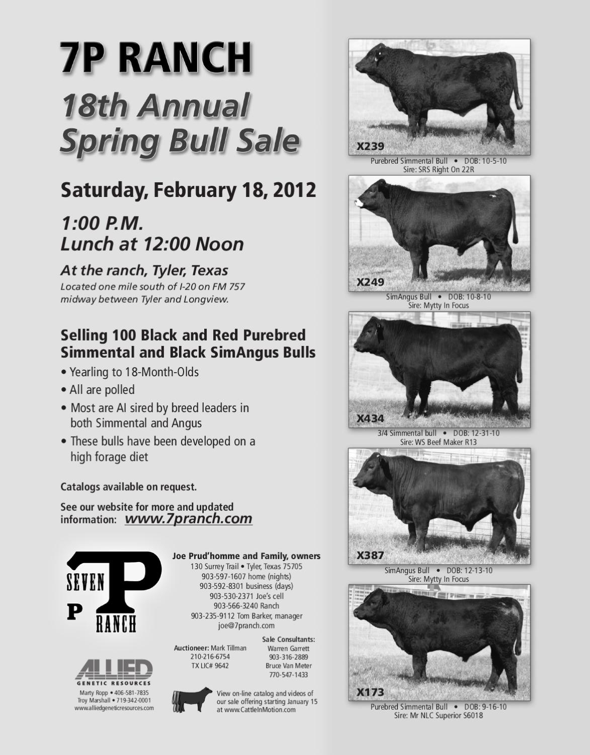 7P Ranch Spring Bull Sale by Cattle In Motion, LLC - Issuu
