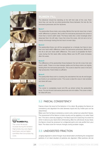 CRV Dairy Management Guide - Feeding Management by CRV Global Sales - Issuu