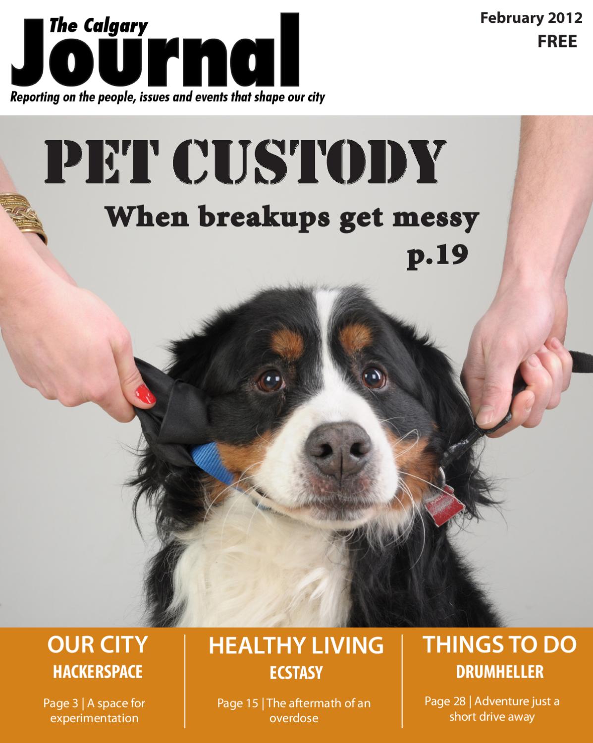 Calgary Journal | February 2012 by Calgary Journal - Issuu