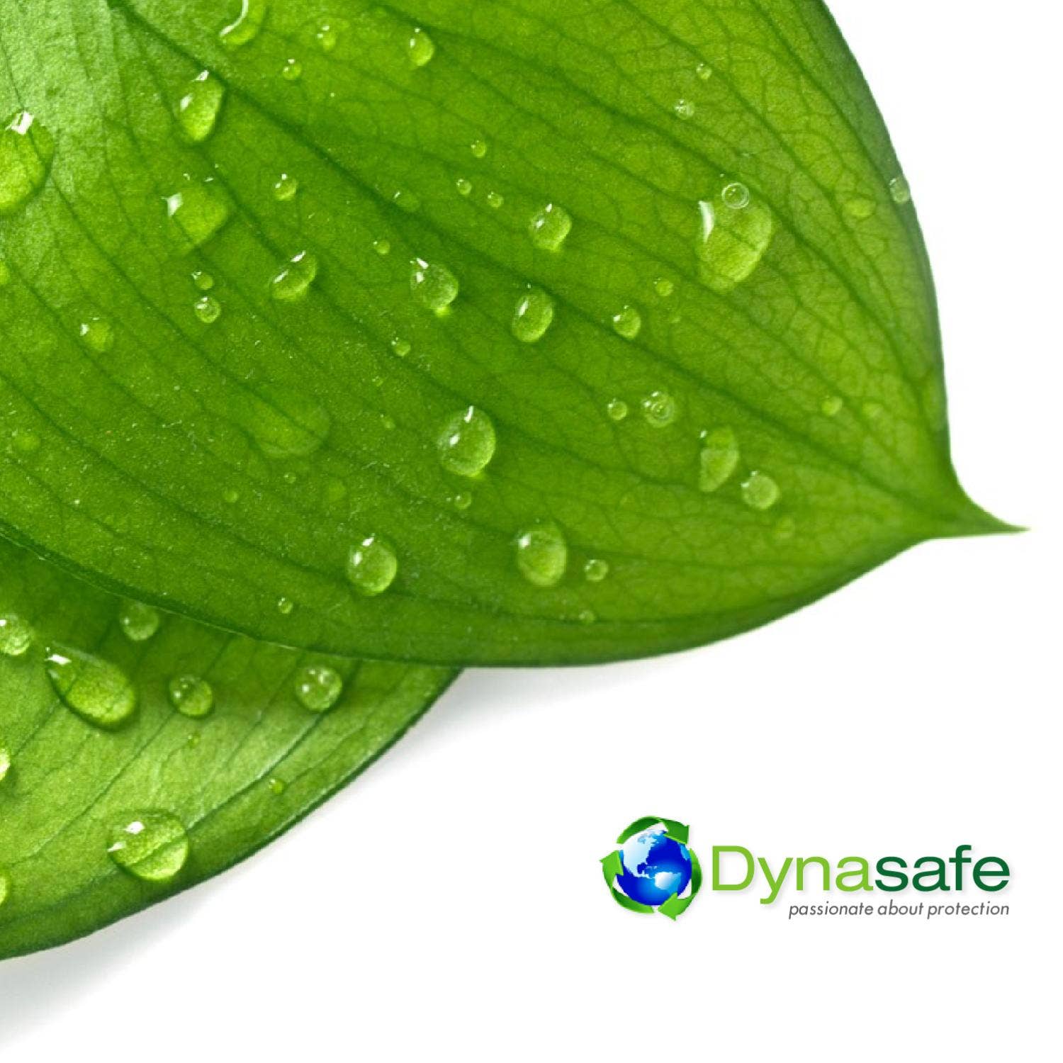 Dynasafe Suspension and Retention Packaging by Define The Light - Issuu