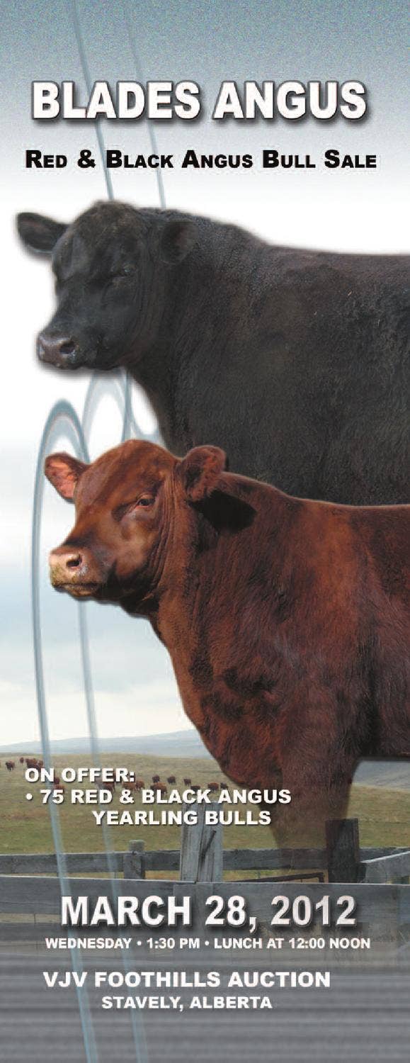 Blades Angus Bull Sale by Canadian Angus Association - Issuu