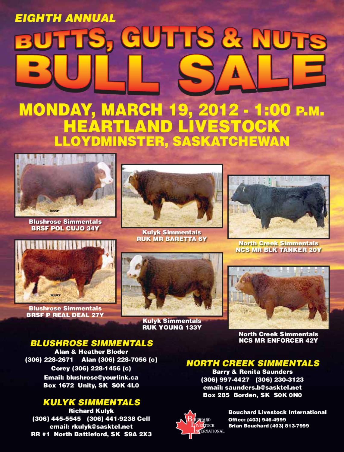 Butt, Guts & Nutts Bull Sale 2012 by Today's Publishing Inc. - Issuu