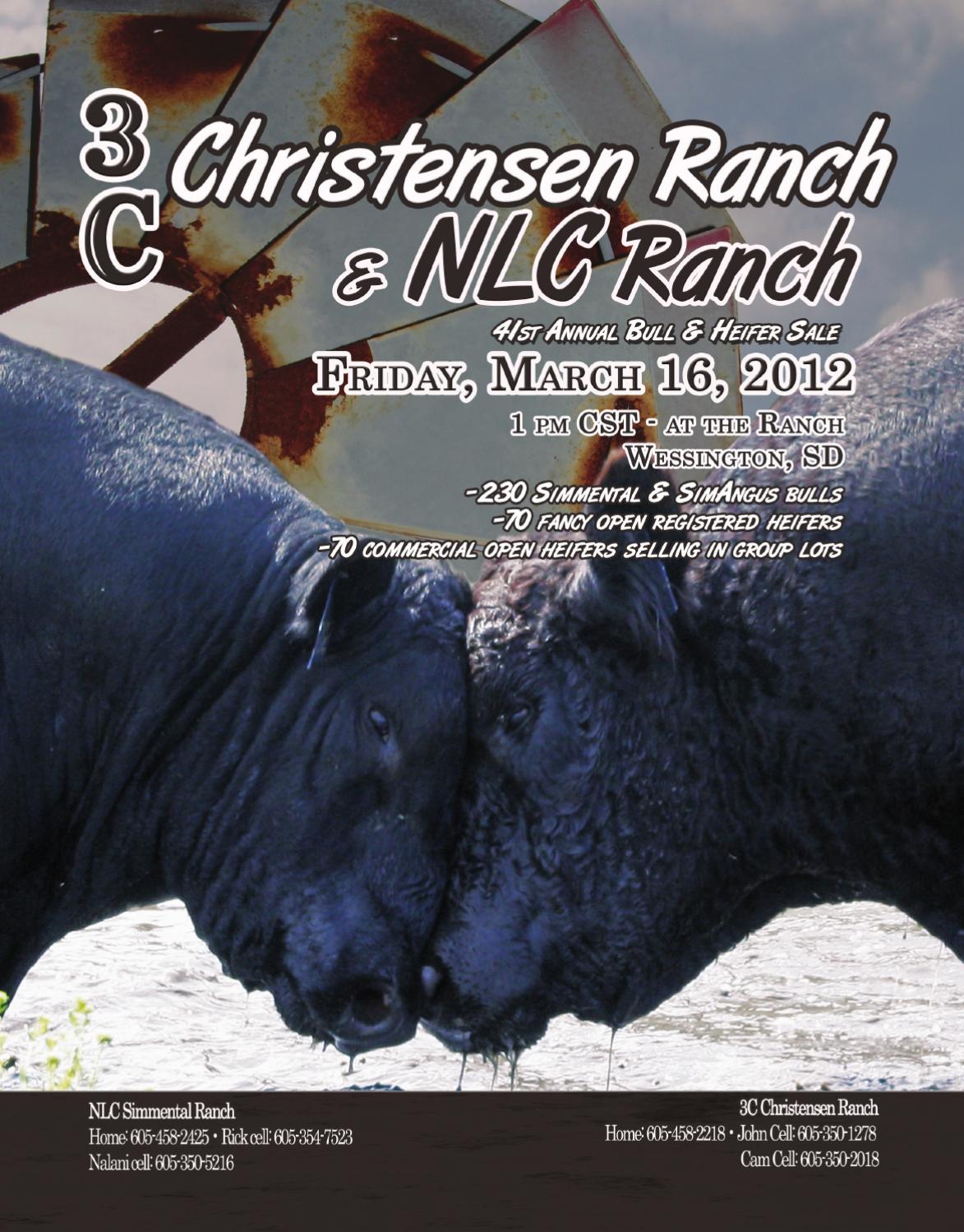 3C Christensen Ranch/NLC Simmental Ranch 2012 Sale Catalog by Cam ...
