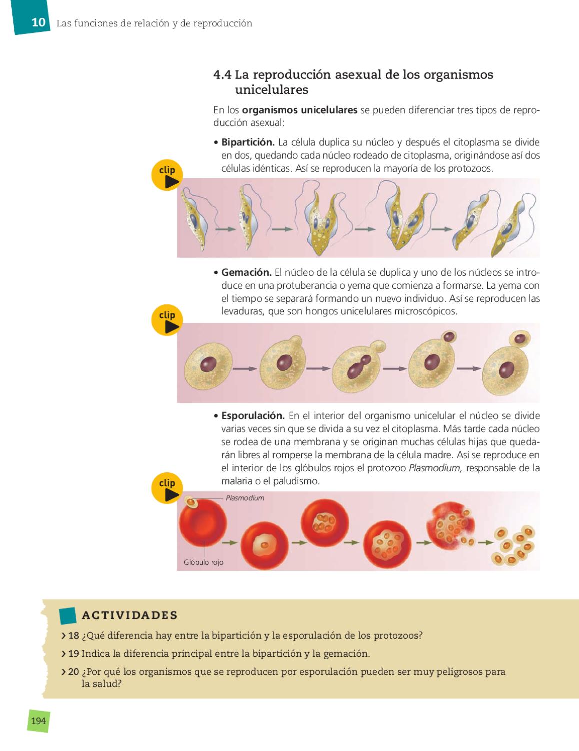Ciencias de la Naturaleza 2 by Editorial Casals - Issuu