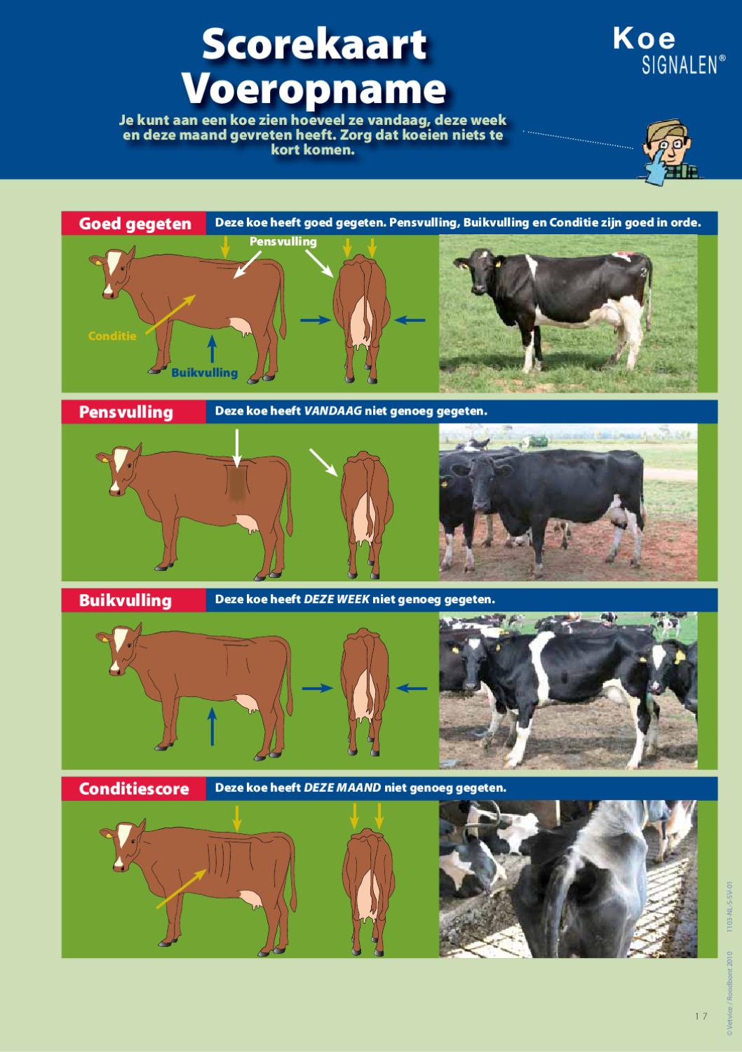 Koesignalen Checkboek by Roodbont Publishers - Issuu