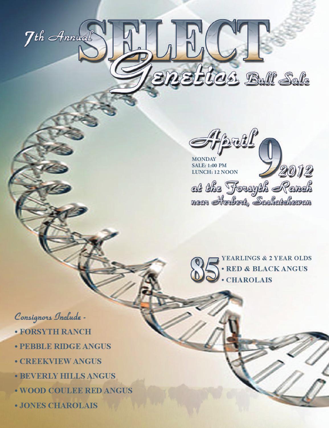 Select Genetics Bull Sale by Canadian Angus Association - Issuu