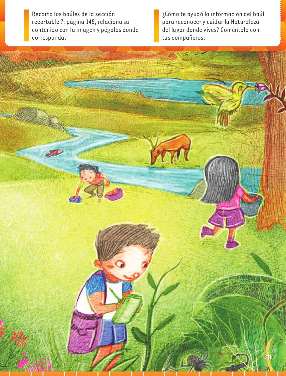 Exploración de la Naturaleza y la Sociedad 1er. Grado by Rarámuri - Issuu